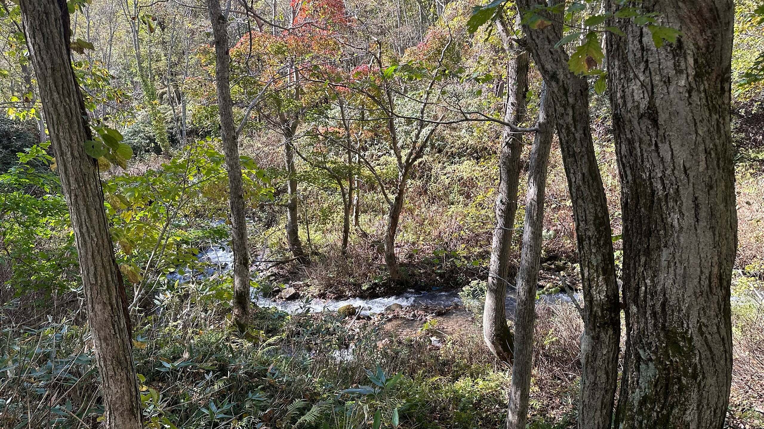 Moiwa Streamside Onsen Land | Taiga Niseko